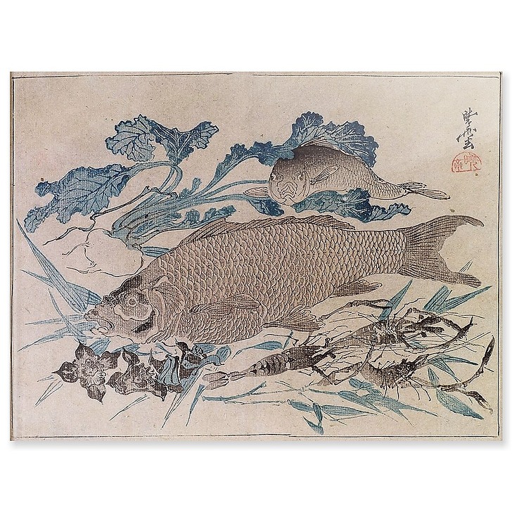 Fish, crayfish and flowers (acrylic panels) · Boutiques de musées