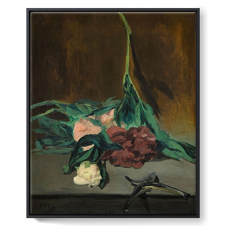 Tige de pivoines et sécateur (framed canvas) · Boutiques de musées